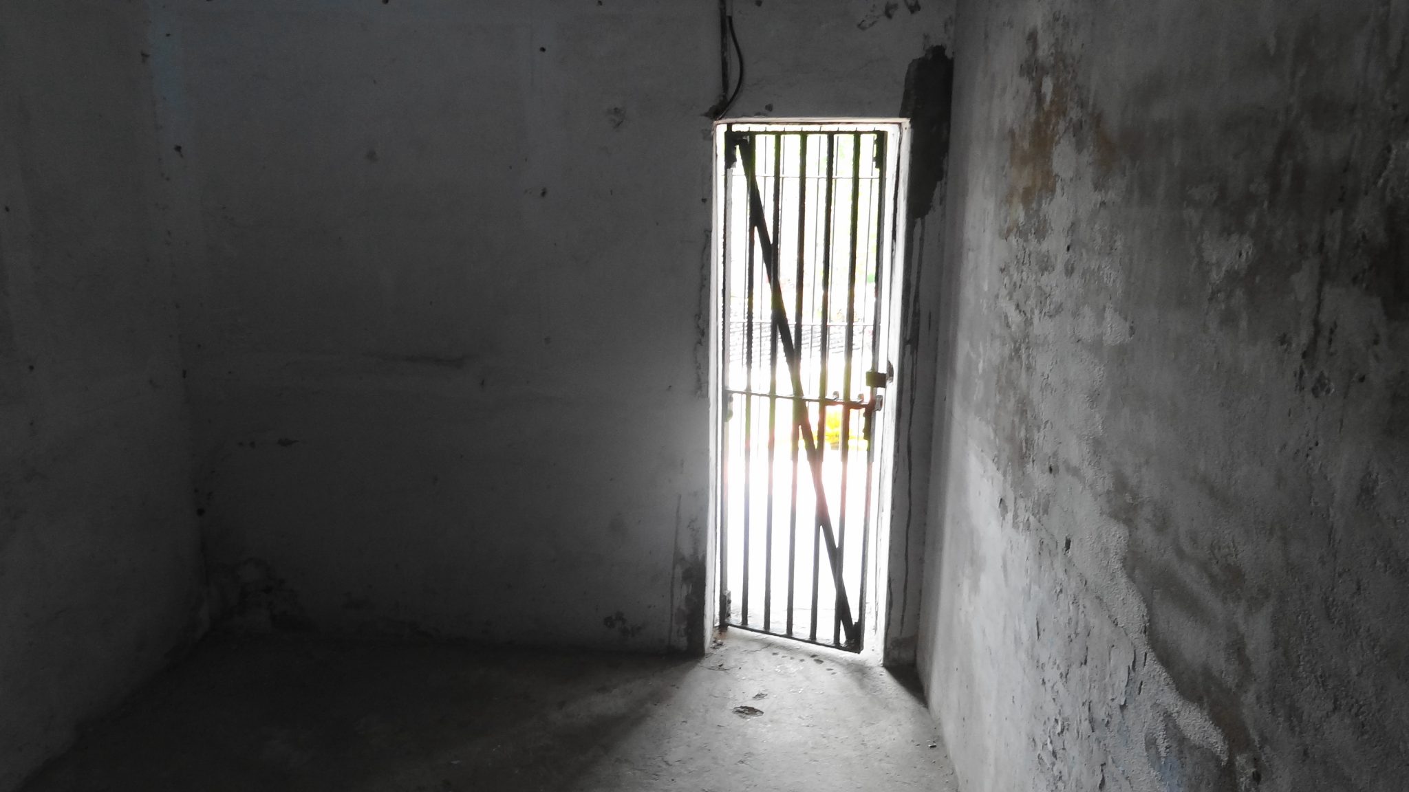 Prejudice, Punishment, and Protest: The Carceral Experience under ...