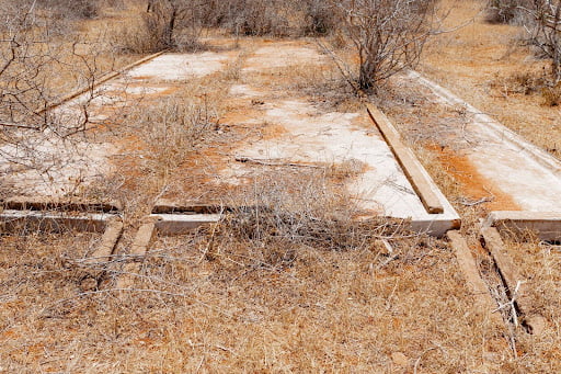 Incarceration: Hashtag, Because, Colonialism | MBC