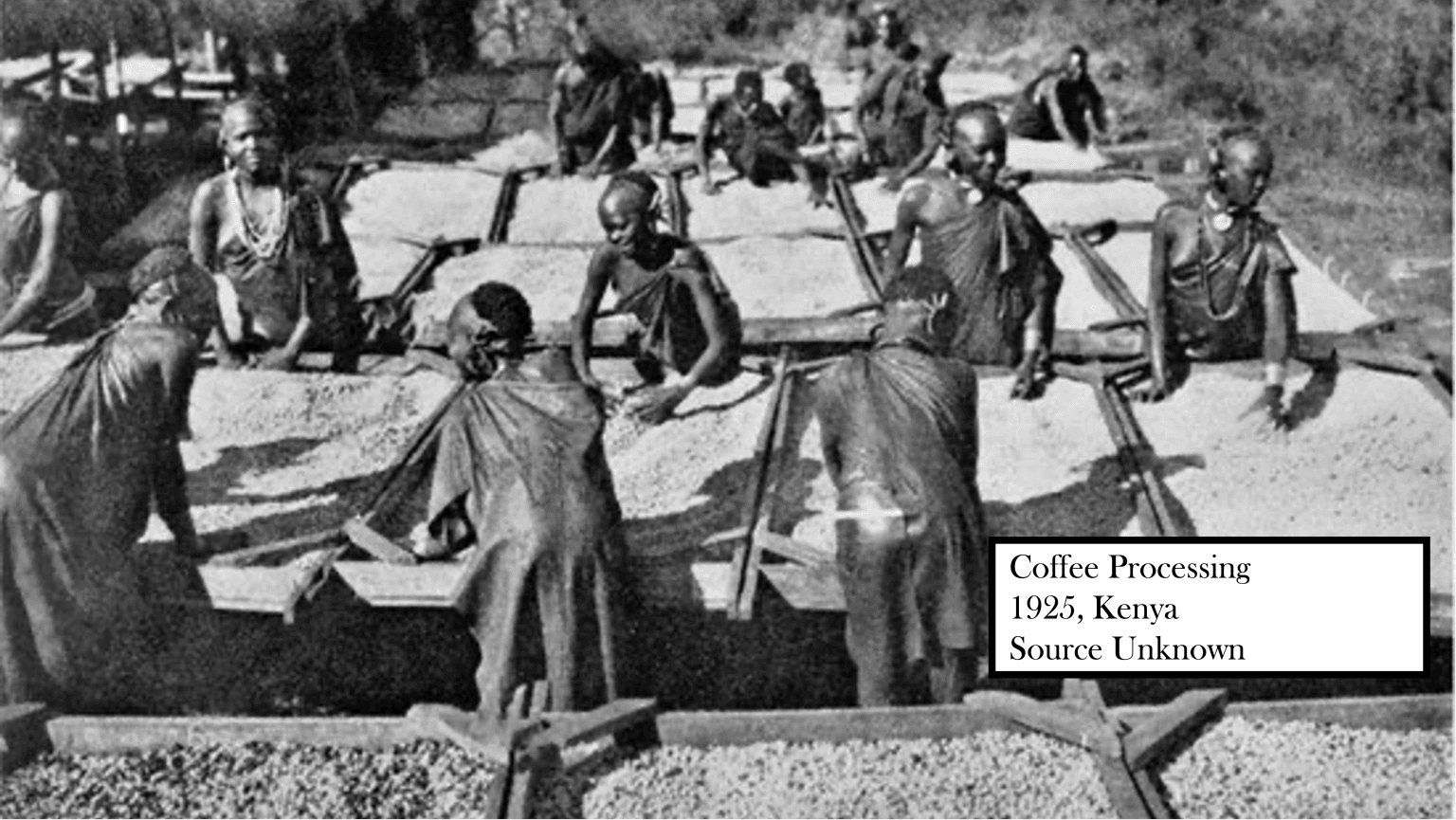 Paper Trails: Jonathan Jenner | MBC